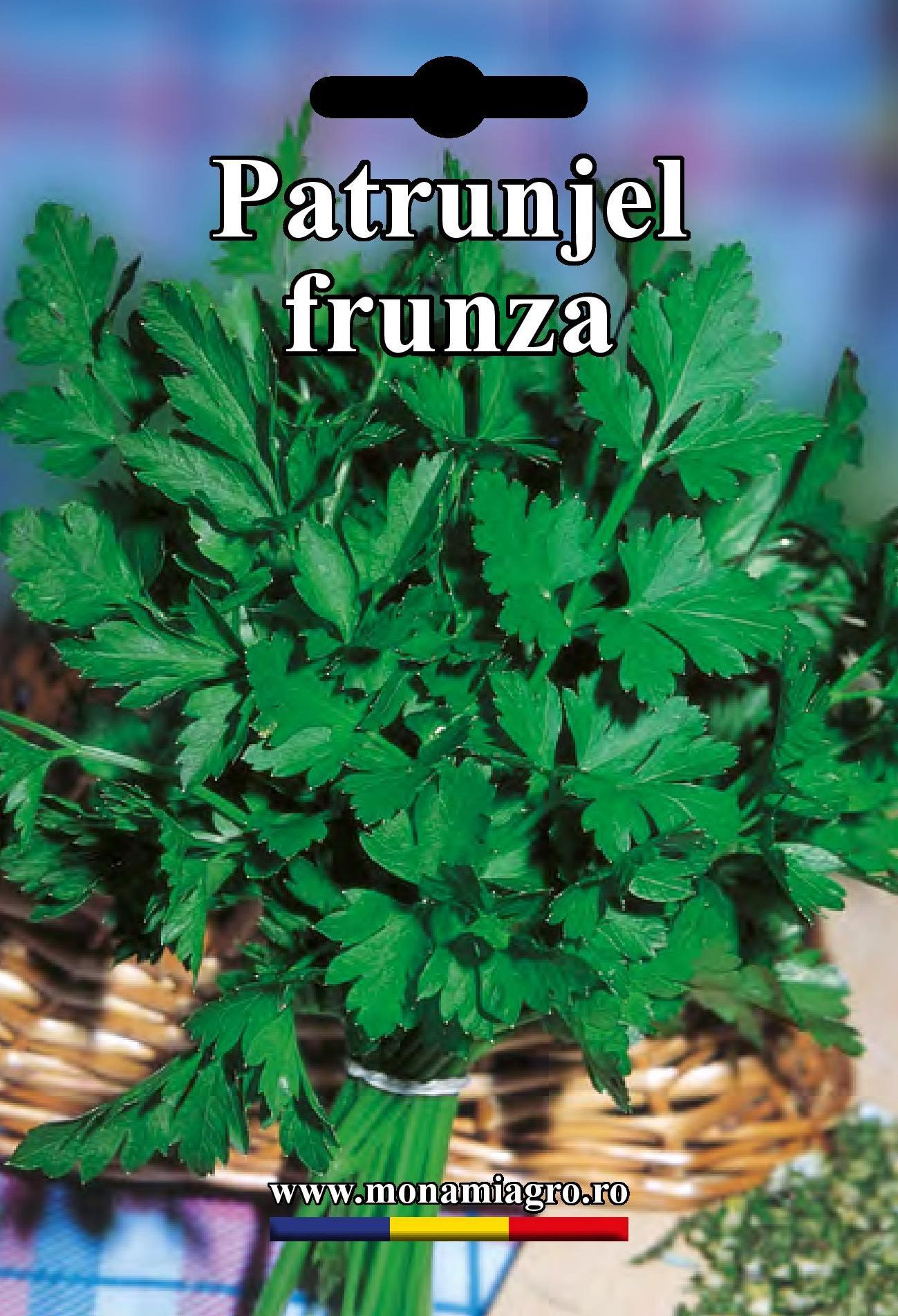 Patrunjel frunza Italian Giant - 10gr | MonAmi Agro Magazin Online