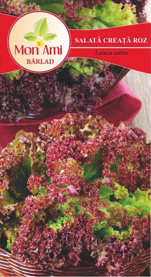 Salata Creata Lollo Rossa - 2gr | MonAmi Agro Magazin Online