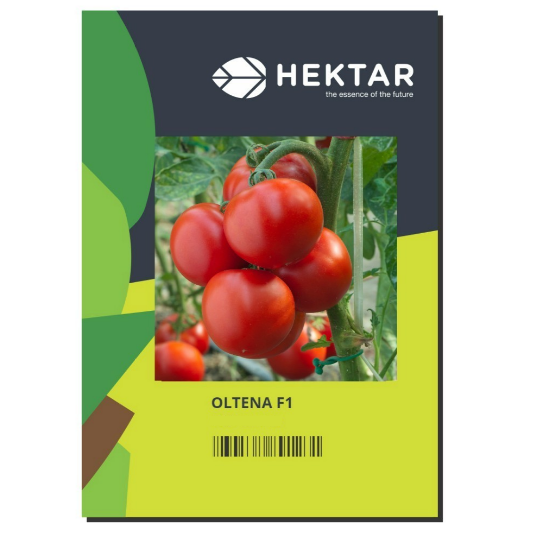 Tomate Oltena F1 - 500 sem. | MonAmi Agro Magazin Online